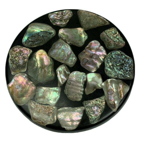 Unbranded | Kitchen | Abalone Shell Rock Slice Lucite Trivet Hot Plate ...